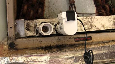 Condensate Overflow Switch Wiring At Tia Curtis Blog