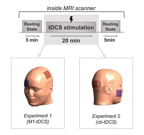 Experimental Design And Tdcs Montages We Acquired Resting State Fmri Download Scientific
