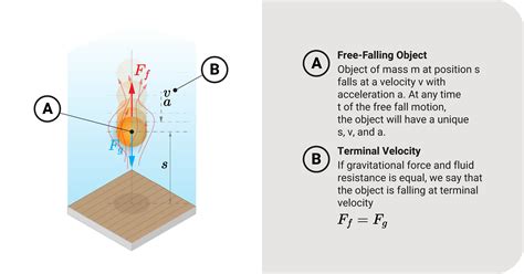 What Is Terminal Velocity Mechanics WeTheStudy