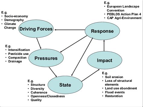 An Example Of The Dpsir Framework Download Scientific Diagram