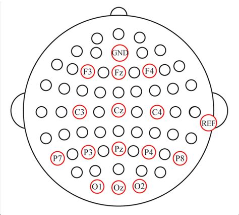 Configuration Of Electrode Positions Download Scientific Diagram