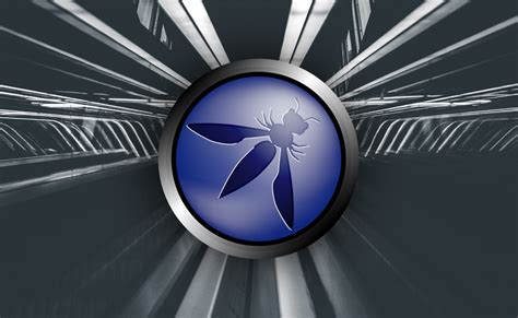 Security Pitfalls To Avoid When Programming Using An Api Help Net Security