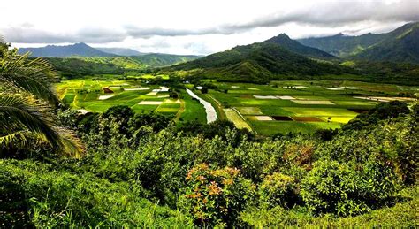 Hanalei Town Kauai Reviews Pictures Map