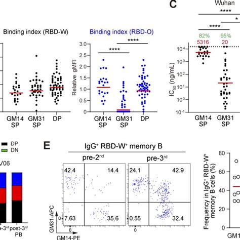 Plasma Antibody Analysis From Mrna Vaccinated Human Cohorts A
