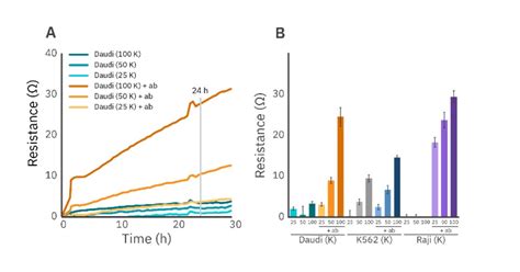 Development Of An In Vitro Cell Killing Assay For Liquid Tumor Cancer