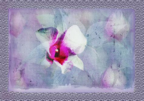 Textures Photograph By Debbie Nobile Fine Art America