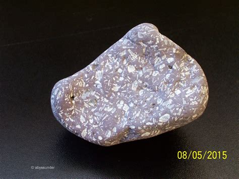 Coprolite Fossil ID The Fossil Forum Coprolite Fossil ID The Fossil Forum