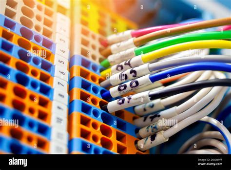 Network Cables Connected To Switch Many Multi Colored Wires Connected To Digital Hub