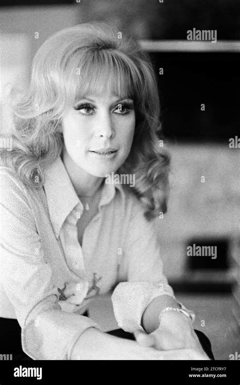 Barbara Eden Star Of I Dream Of Jeannie Circa 1969 File Reference