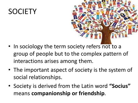 Solution Sociological Basic Concepts Sociology Notes Bsc Nursing