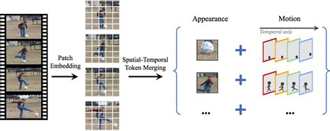 Figure 1 From Efficient Video Transformers Via Spatial Temporal Token