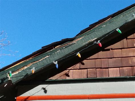 Tree Limbs Should Stay On Trees Old House Crazy