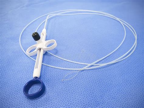 Single Use Polypectomy Snare Stock Image Image Of Cell Oval 199560715