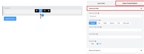 Password Input Field In Wp Fluent Form Wordpress Plugin