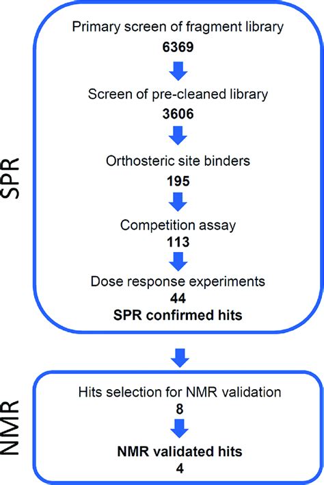 Spr Screening Workflow Of The Roche Fragment Library On The Download Scientific Diagram