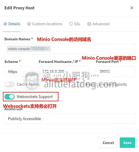 记一次docker部署minio并通过nginx proxy manager反向代理 灬小肥狗之家灬