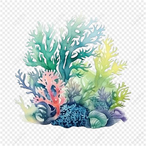 해초 수중 해양 식물 바다 산호 요소 수채화 그림아쿠아껍데기 Png 일러스트 무료 다운로드 Lovepik