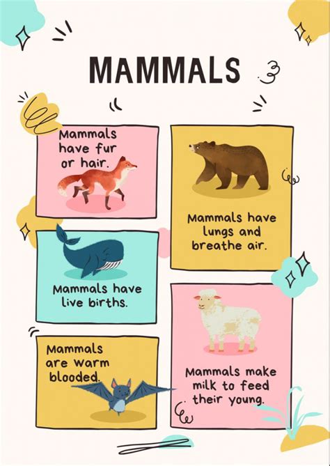 Characteristics Of Mammals For Kindergarten Printable Pdf Template