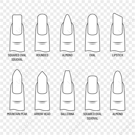 여성 손 일러스트톱의 검은 선 일러스트 그리기손가락여성 손톱 손 손톱 손가락