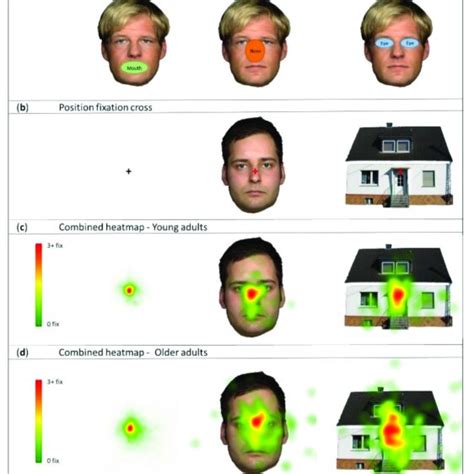 Position And Heatmap Fixation Cross A Areas Of Interest Were Created Download Scientific
