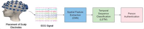 Flow Diagram Of The Proposed Eeg Based Person Identification Model Download Scientific Diagram