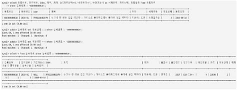 데이터베이스 팀 프로젝트 도서 통합관리 시스템 Db 구축