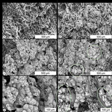 Comparison Of Fracture Surfaces Fractography After Fracture Download Scientific Diagram