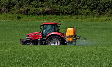 The Importance Of Protecting Bees And Other Pollinators From Pesticides Off Grid World