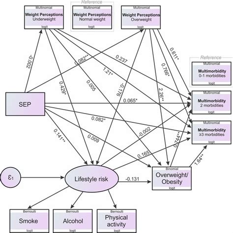 Structural Equation Model For Sep Weight Perceptions Multimorbidity