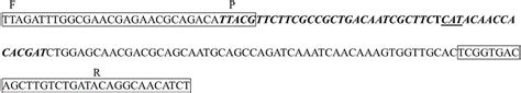 Method For Detecting Vibrio Parahaemolyticus Eureka Patsnap