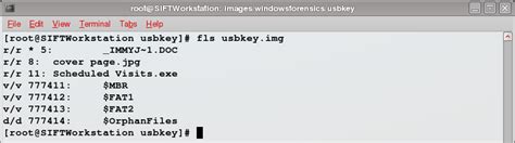 Sans Digital Forensics And Incident Response Blog Fat And Fat