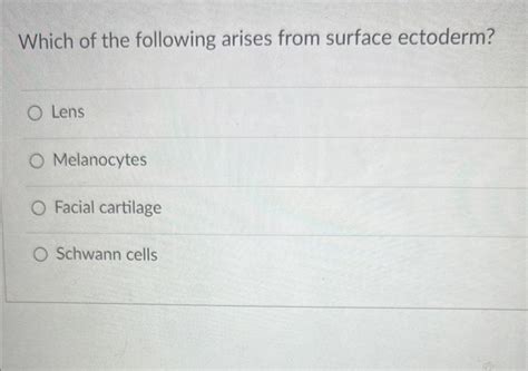 Solved Which Of The Following Arises From Surface Ectoderm
