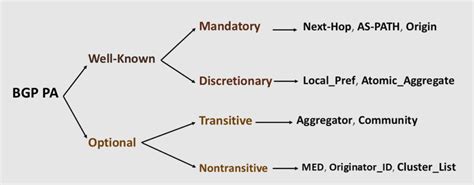 Master Bgp Path Attributes Your Ultimate Guide To Bgp Pa