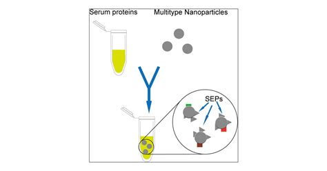 Identified Small Open Reading Frame Encoded Peptides In Human Serum With Nanoparticle Protein
