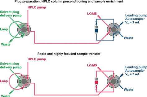Instrumental Setup For Rapid Solvent Plug Injection Download Scientific Diagram