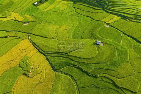 越南亚洲日落时分的穆仓柴延白山丘谷的稻田梯农村或农村地区的绿色农田的空中俯视图高清图片下载 正版图片506235921 摄图网
