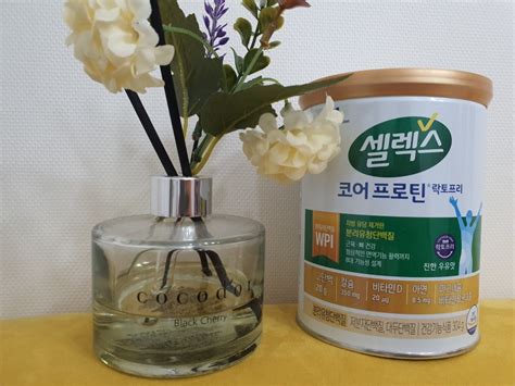 헬스 단백질보충제 효과 및 분리유청단백질 추천 셀렉스 코어프로틴 락토프리 네이버 블로그