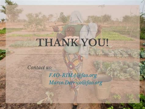 Resilience Index Measurement And Analysis Rima Pptx