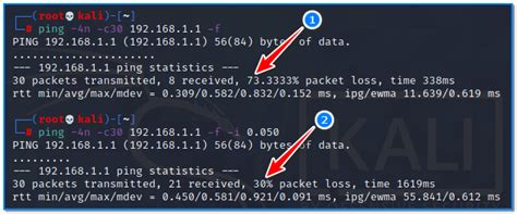 Lab 12 Ping And Its Various Uses 101Labs Net