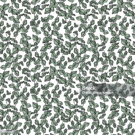 손으로 그린 유칼립투스 가지와 녹색 잎의 매끄러운 패턴 흰색 바탕에 허브 열대 컬렉션입니다 인사말 카드 벽지 포장지에 대 한 장식 여름 그림 0명에 대한 스톡 벡터 아트 및