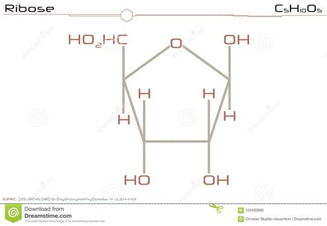 Ribose Diagram