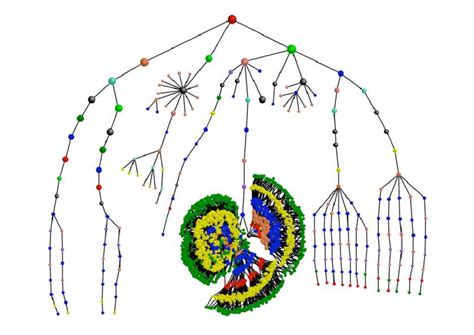Frequent Pattern Tree Showing Distinct Spam Campaigns Download Scientific Diagram