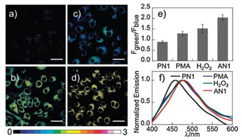 A Two Photon Fluorescent Probe For Ratiometric Imaging Of Hydrogen Peroxide In Live Tissue