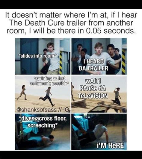 Newtmas Pictures Maze Runner Funny Maze Runner Maze Runner Movie