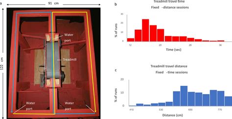 Figures And Data In Flexible Coding Of Time Or Distance In Hippocampal