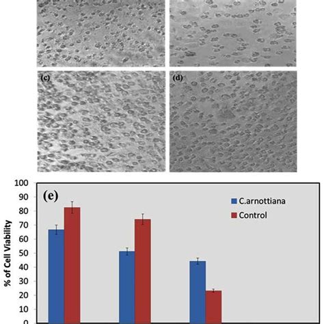 Antimicrobial Activity Of Methanolic Stem Extract Of Cissus Arnottiana