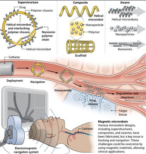 How Microrobots Can Improve Drug Delivery Nicola Ferrari Posted On