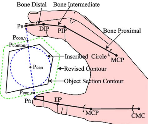 Contact Point Prediction On The Virtual Object Download Scientific Diagram