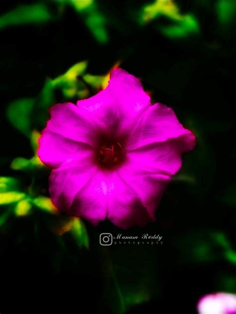 Yanala Manasa On Linkedin Photography Edits Learning Peace