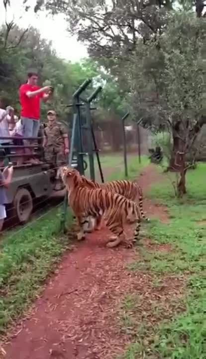 Dr Rajeev Thakur On Linkedin “faster Higher Stronger” Making Success Happen… 12 Comments